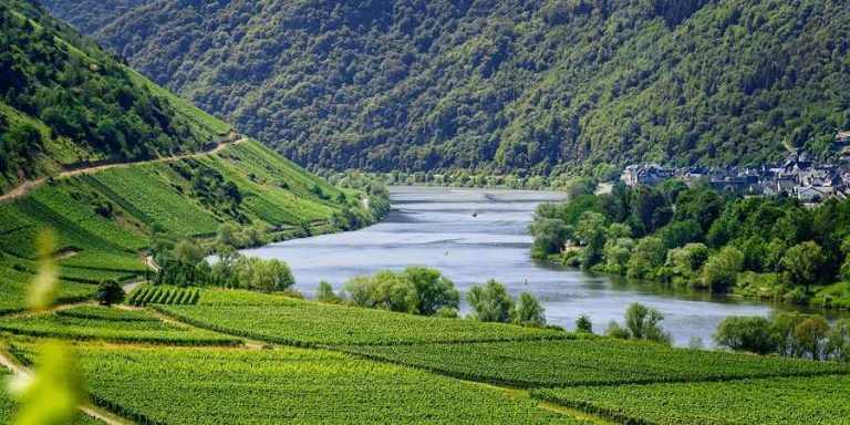 Guide To Different Types of Tourism And Their Features